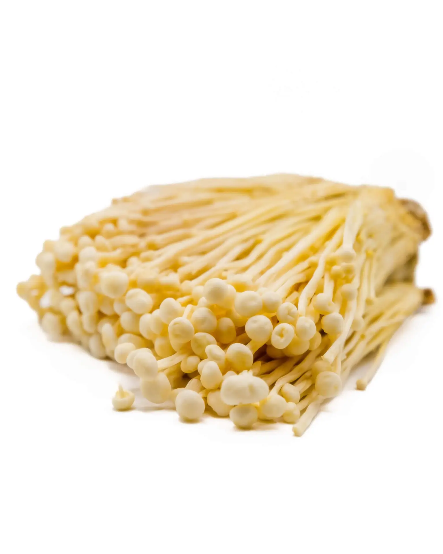 Enoki | Pebble Creek Produce